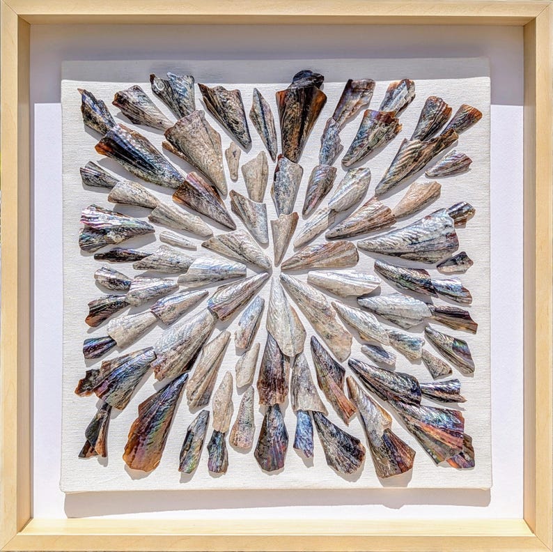 Breathtaking Pen Shell Seashell Collage II - Natural Mother of Pearl ...