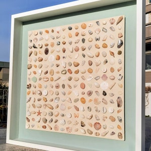 Unique Shell Art Composition in Shadow Box - Etsy