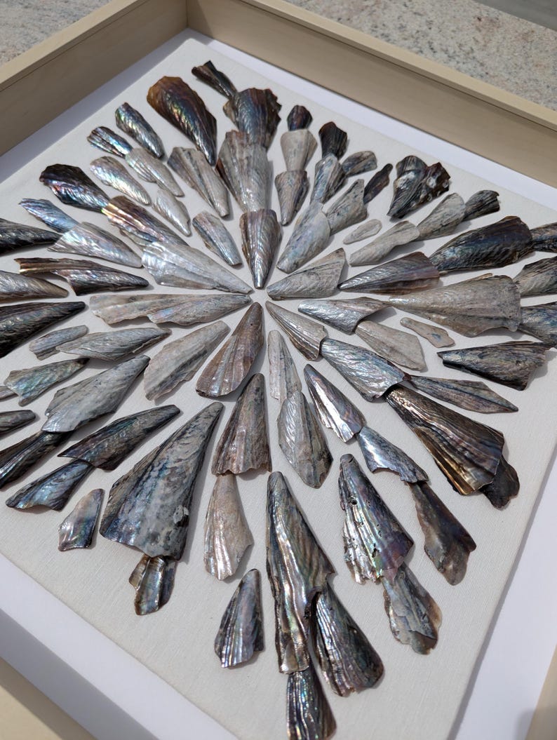 Breathtaking Pen Shell Seashell Collage II - Natural Mother of Pearl ...