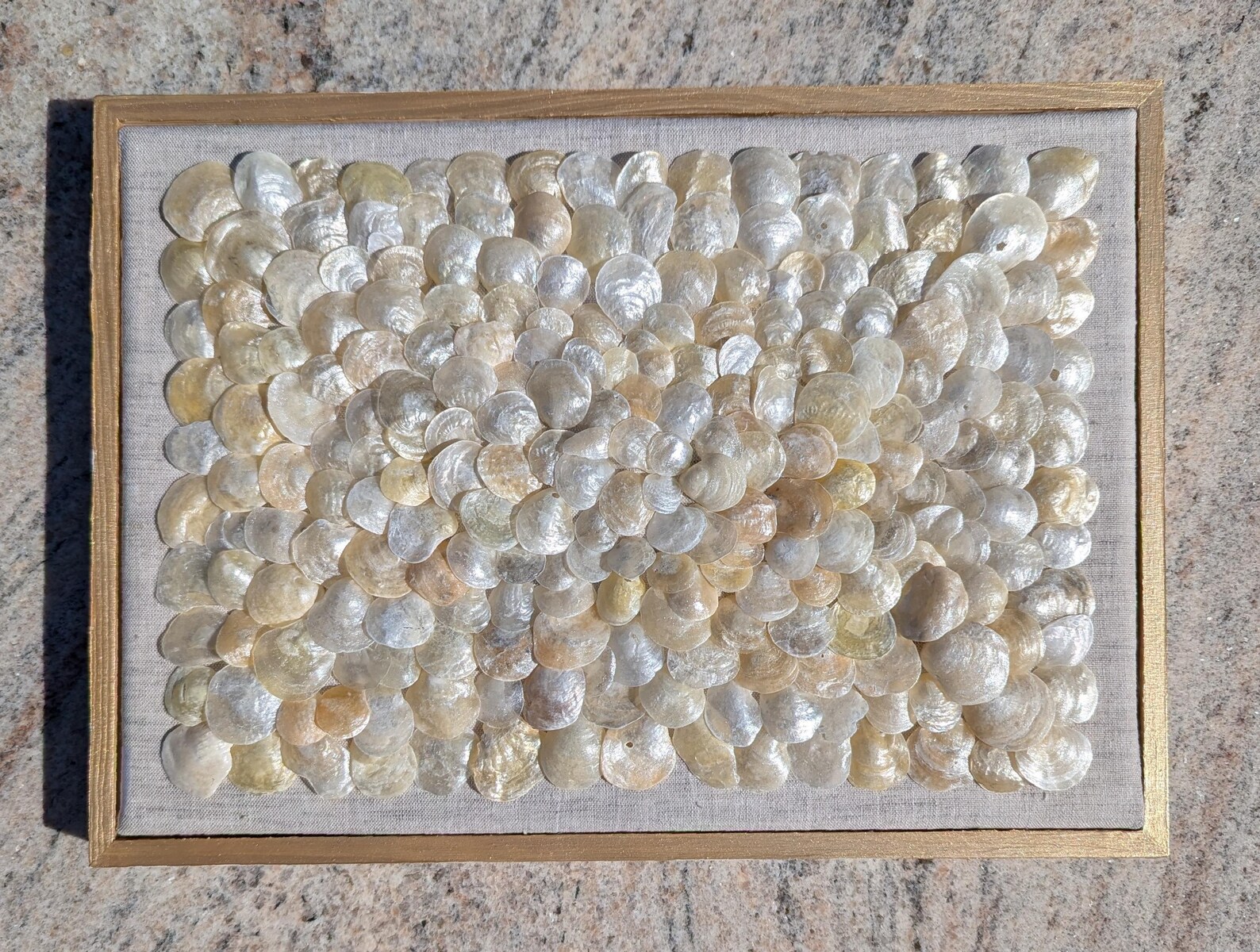 Unique Florida Jingle Shell Art in Wooden Frame - Etsy