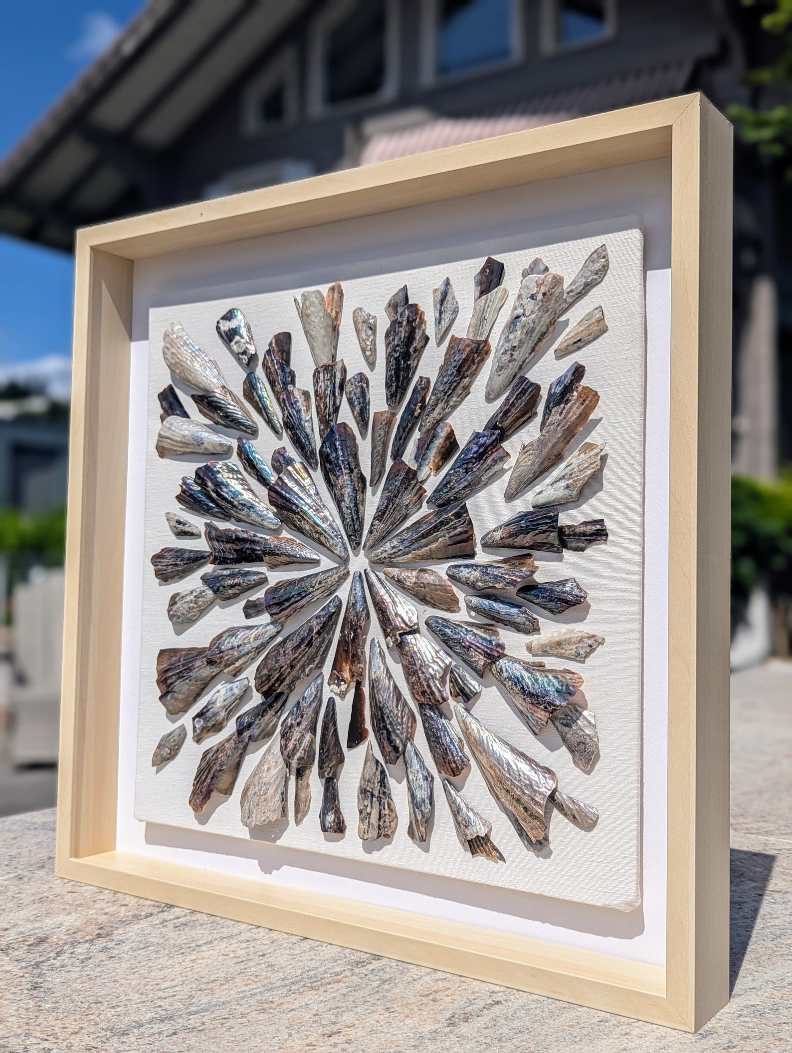 Breathtaking Pen Shell Seashell Collage I - Natural Mother of Pearl ...