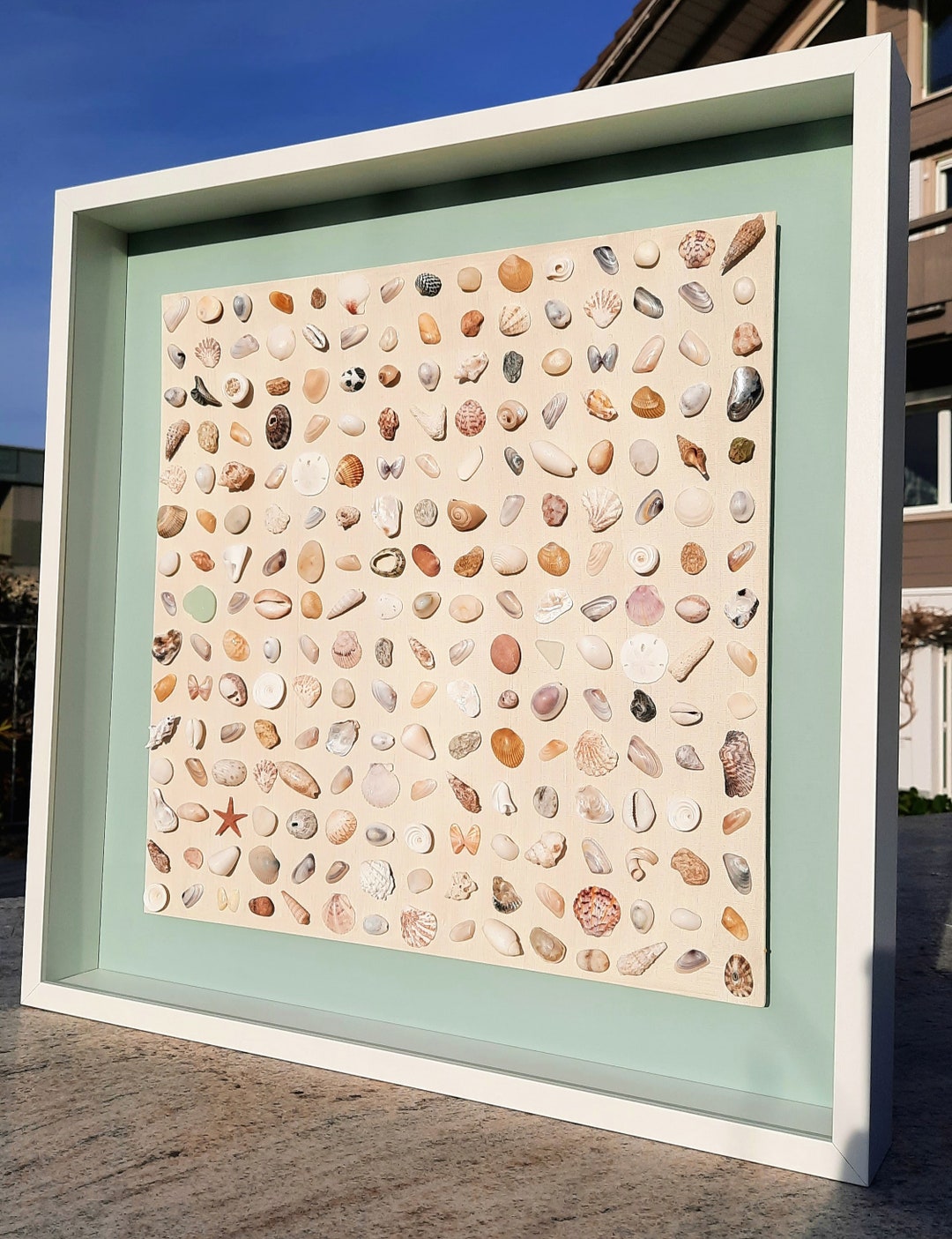Unique Shell Art Composition in Shadow Box - Etsy