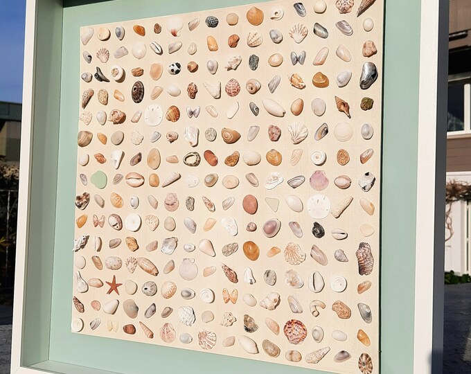 Unique Shell Art Composition in Shadow Box - Etsy