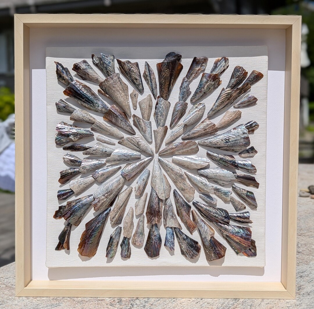 Breathtaking Pen Shell Seashell Collage II - Natural Mother of Pearl ...