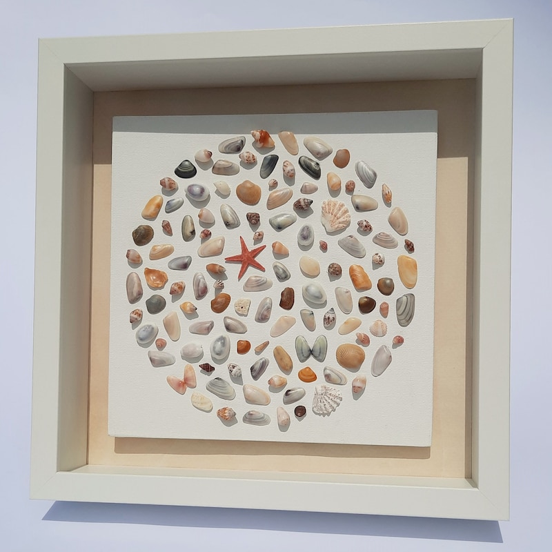 Shell Shadow Box - Etsy