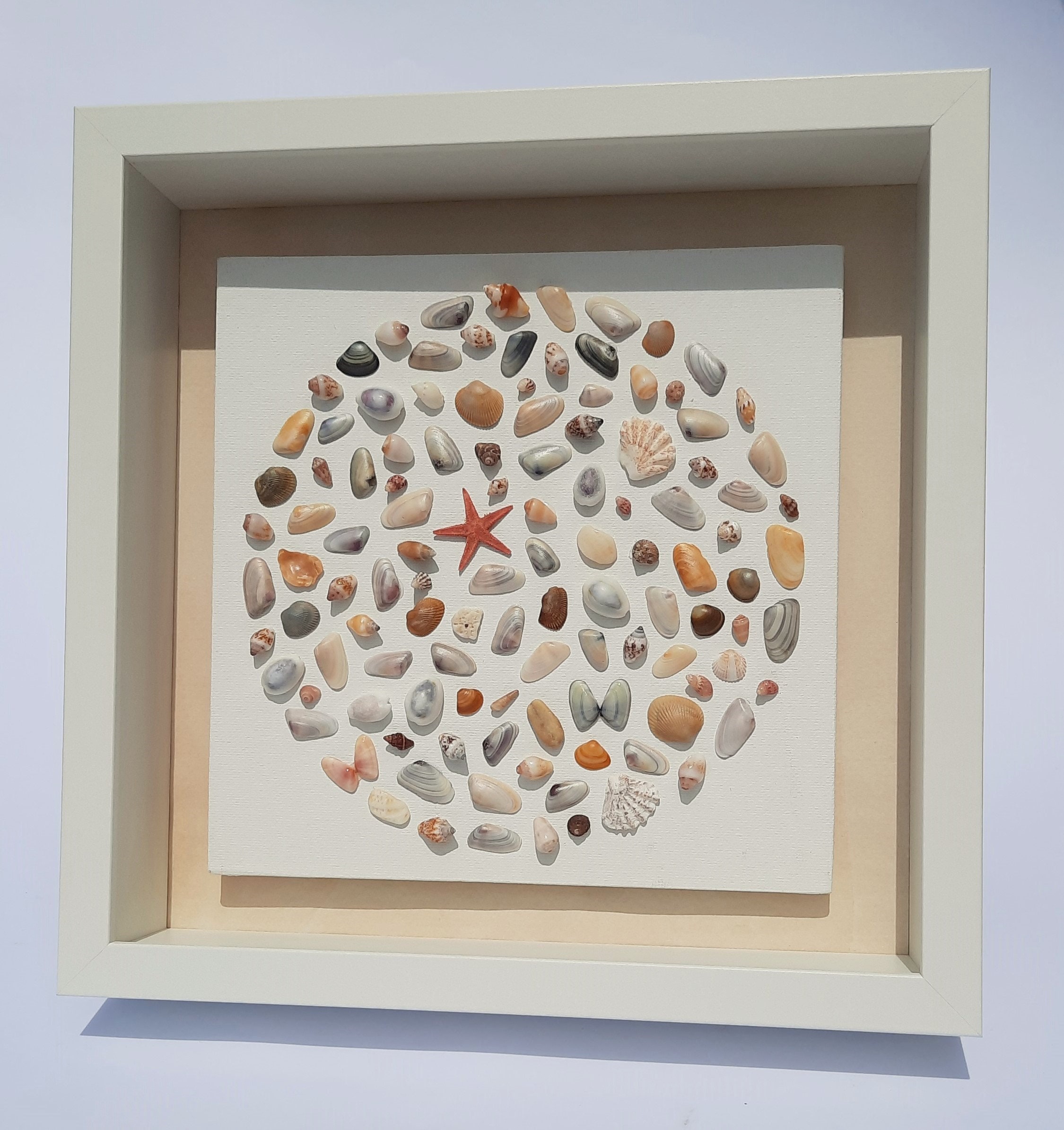 Unique Shell Art Circle Composition in Shadow Box - Etsy