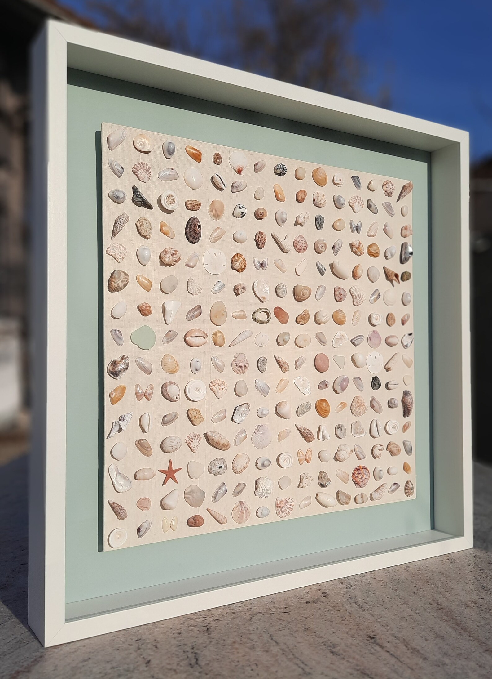 Unique Shell Art Composition in Shadow Box - Etsy