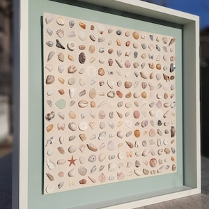 Unique Shell Art Composition in Shadow Box - Etsy