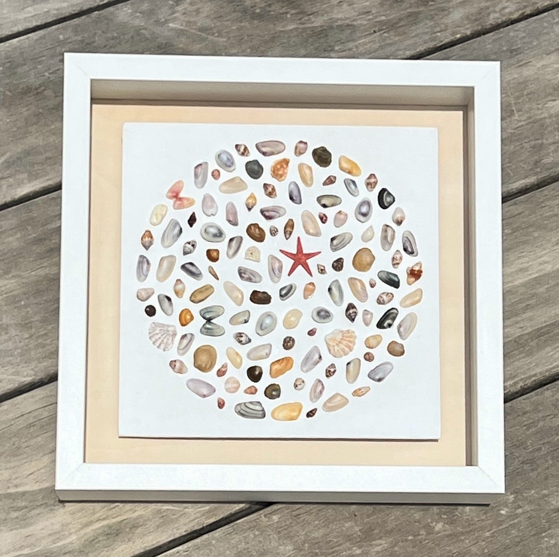 Unique Shell Art Circle Composition in Shadow Box - Etsy