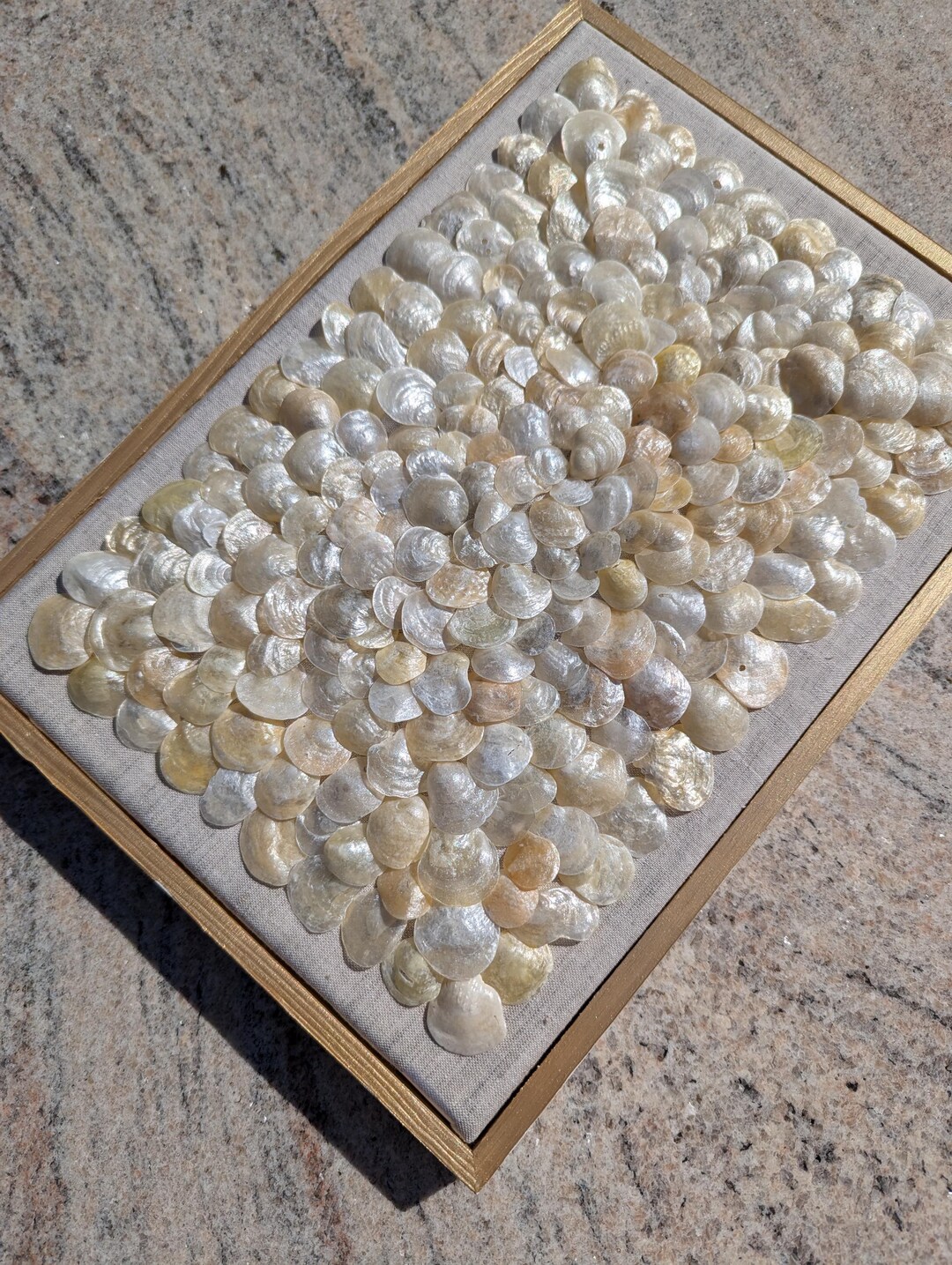 Unique Florida Jingle Shell Art in Wooden Frame - Etsy