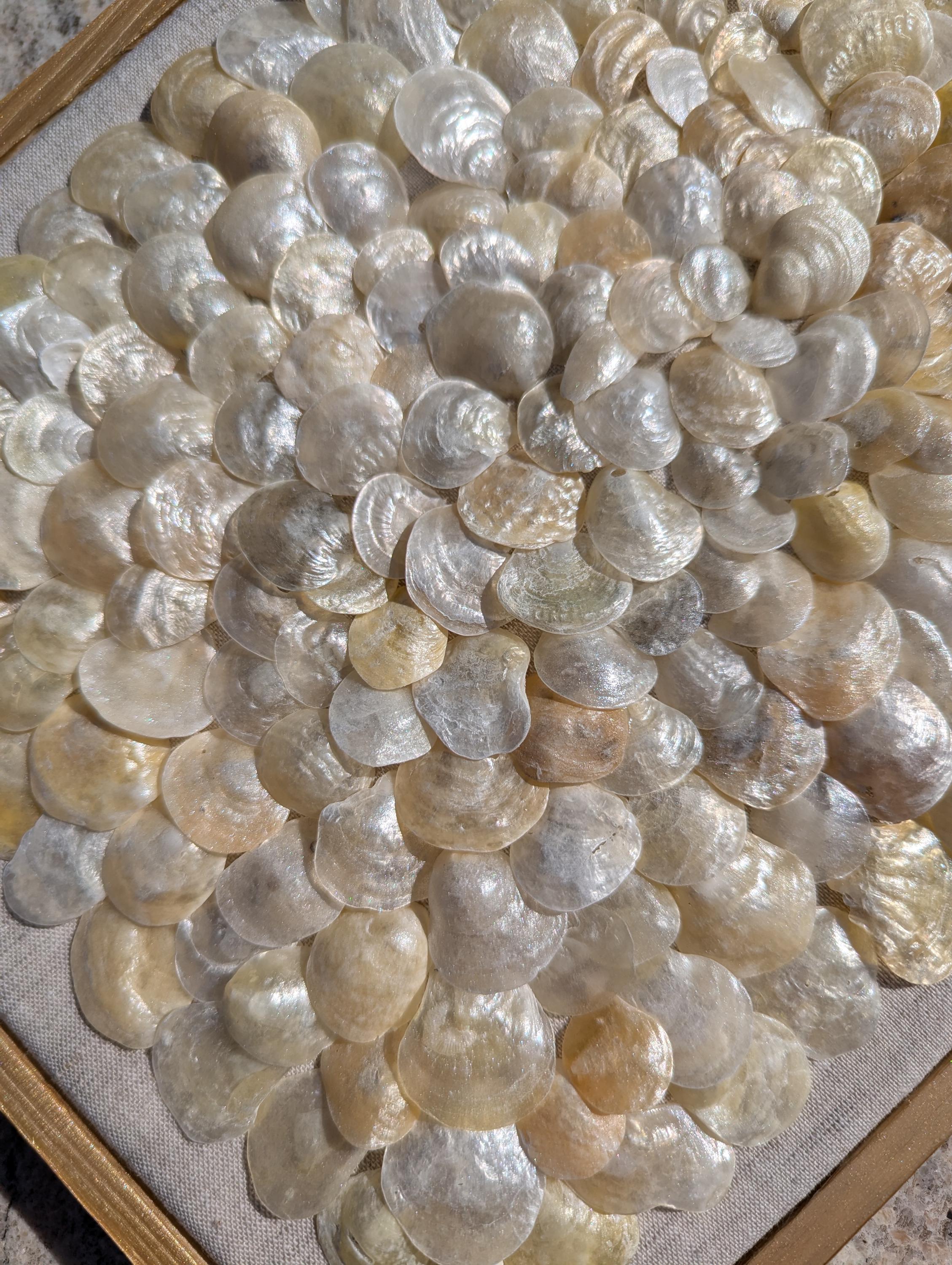 Unique Florida Jingle Shell Art in Wooden Frame - Etsy