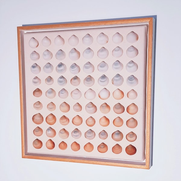 Shell Art on Canvas - Etsy