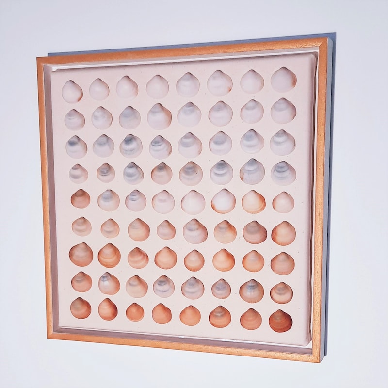 Shell Art on Canvas - Etsy