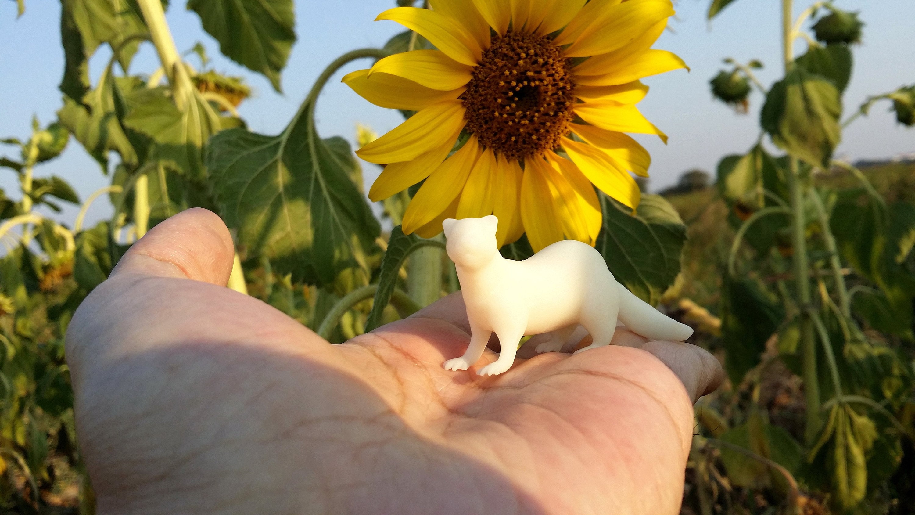 Ferret Figurine STL File for 3D Print - Etsy