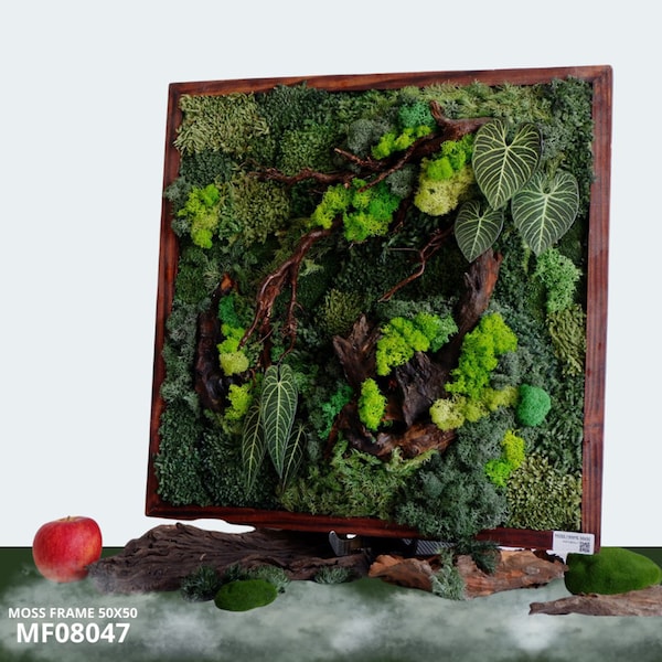 Moss Frame - Etsy