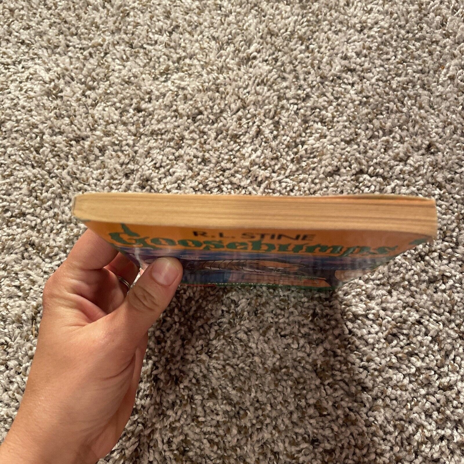 Goosebumps 18 Monster Blood 2 R. L. Stine 1st Scholastic Printing 1994 ...