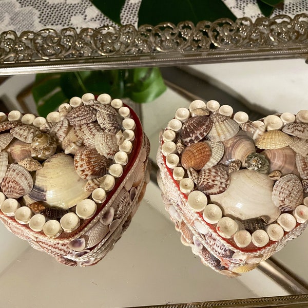 Seashell Jewelry Box - Etsy