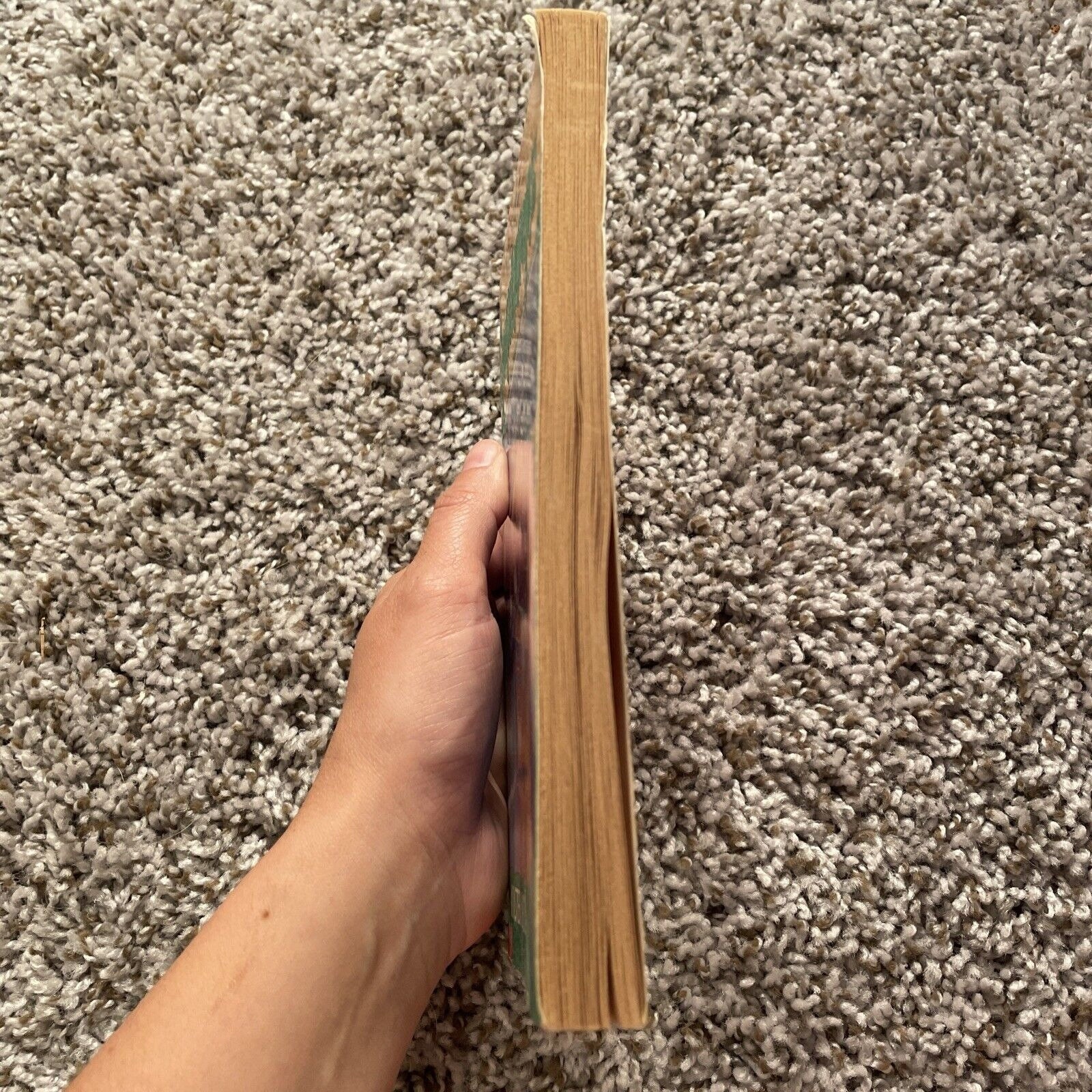 Goosebumps 18 Monster Blood 2 R. L. Stine 1st Scholastic Printing 1994 ...