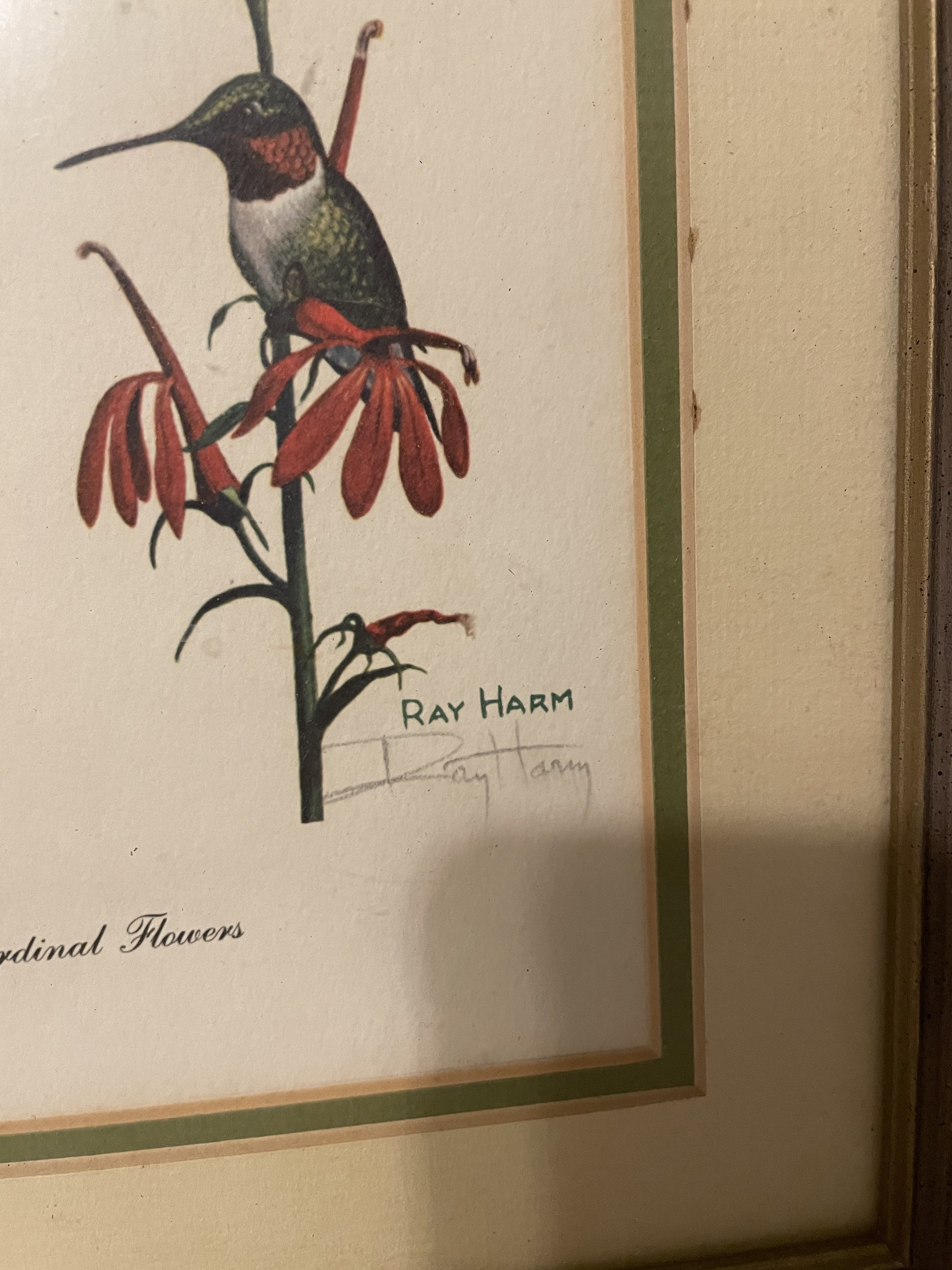 Boho Art Frame Not Included Vintage Ray Harm Hummingbird and Cardinal ...