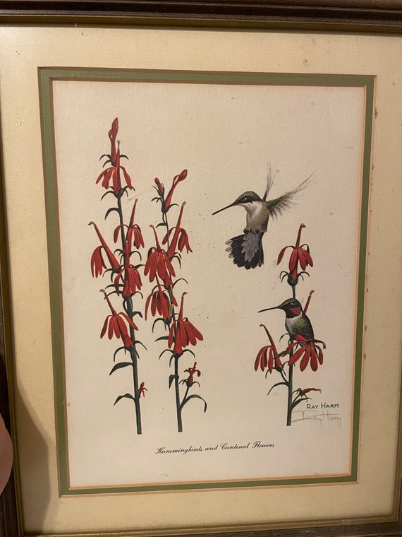 Boho Art Frame Not Included Vintage Ray Harm Hummingbird and Cardinal ...