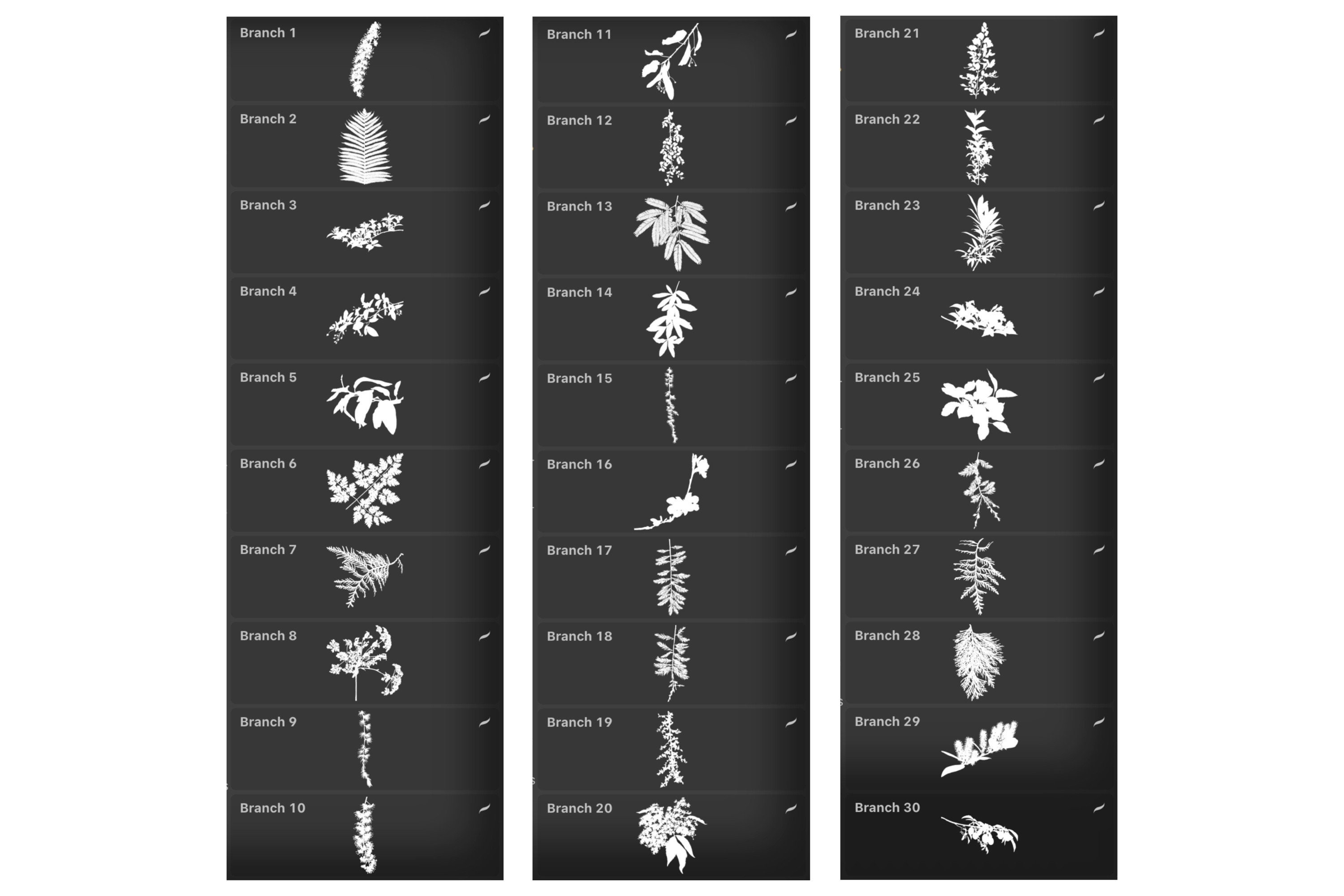 Silhouette Branch Stamps for Procreate, Botanical Brush Set (digital ...