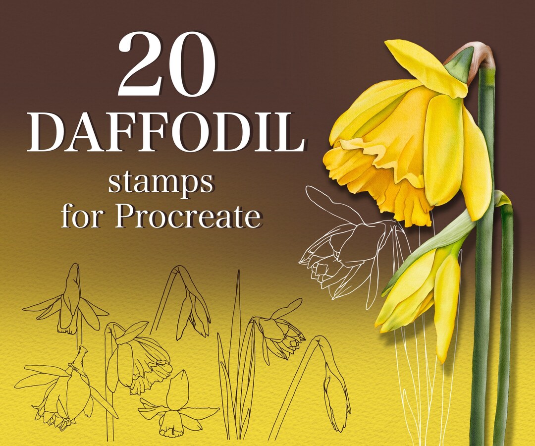 Daffodil Stamps Daffodil Procreate Daffodil Brushes Daffodil iPad ...
