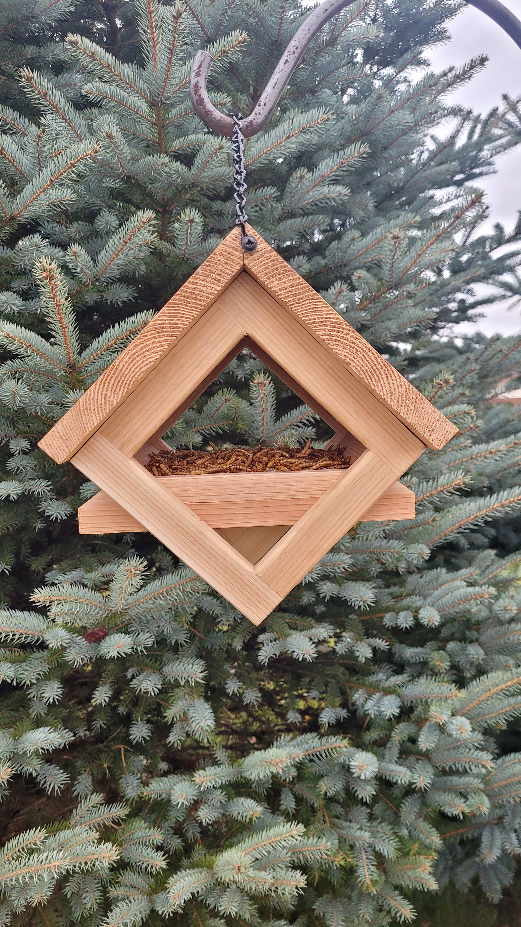 Mealworm Feeder, Bluebird Feeder - Etsy