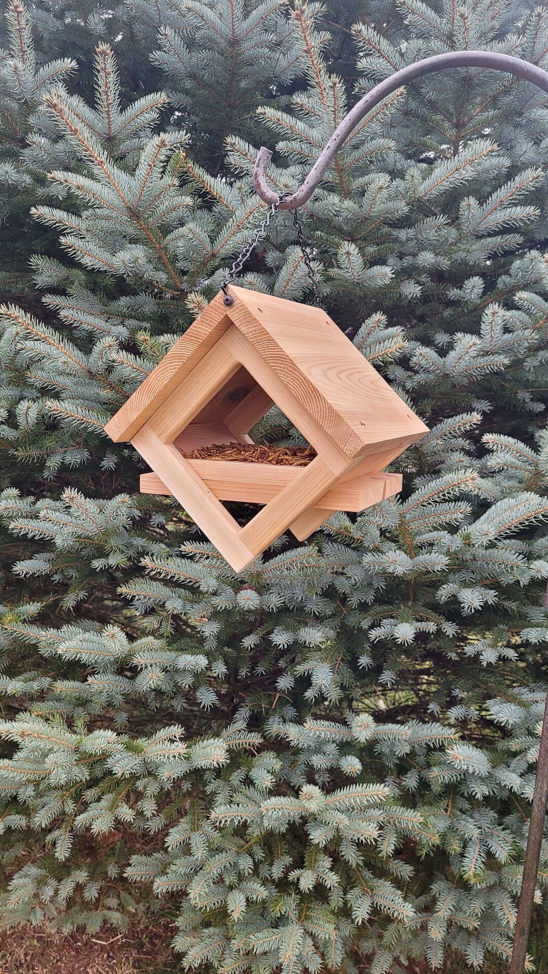 Mealworm Feeder, Bluebird Feeder - Etsy