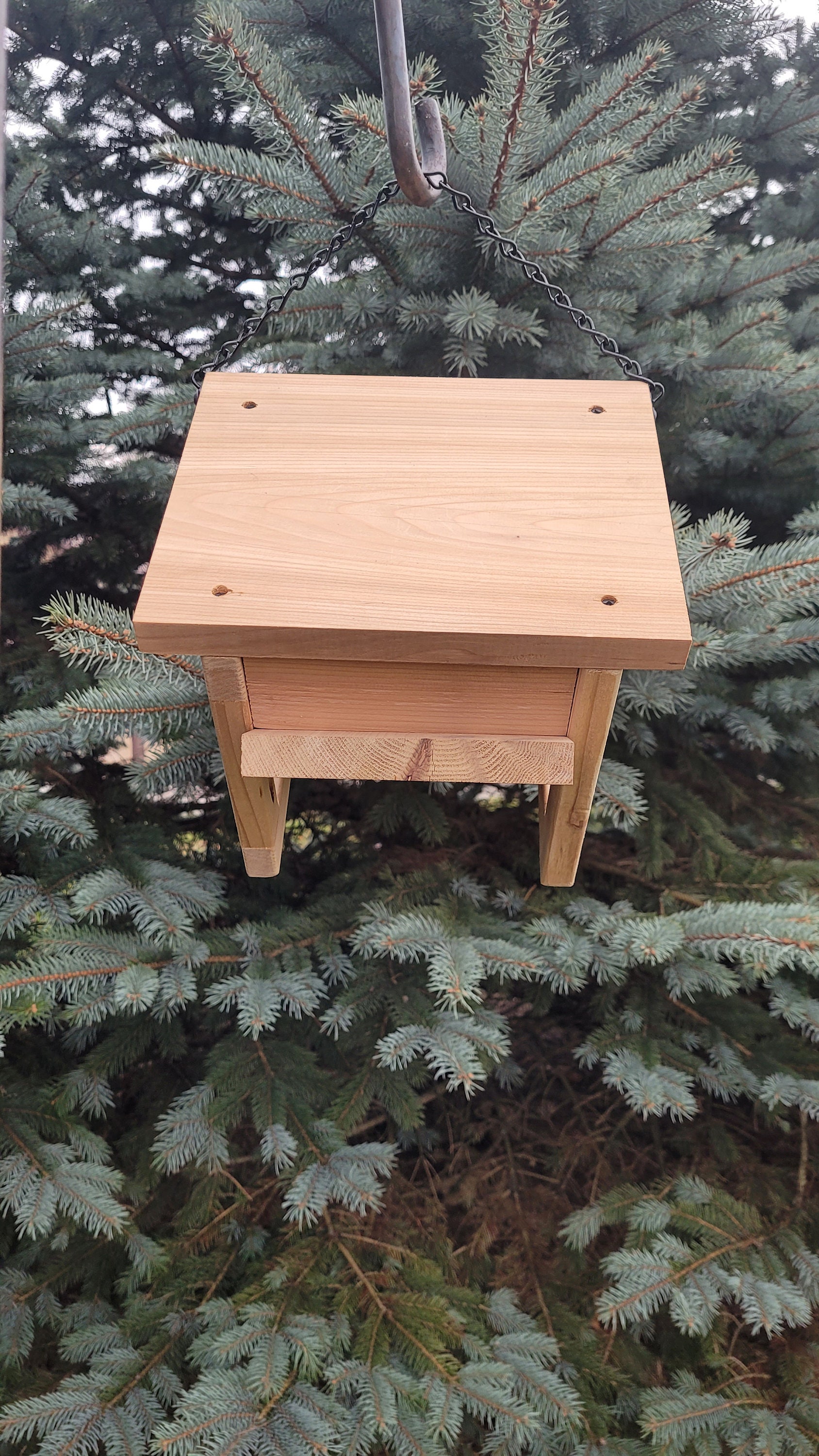 Mealworm Feeder, Bluebird Feeder - Etsy