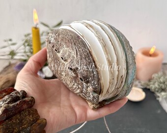 Mermaid/mermen Notebook, Sea Shell Notebook, Sketchpad, Diary, Memo ...