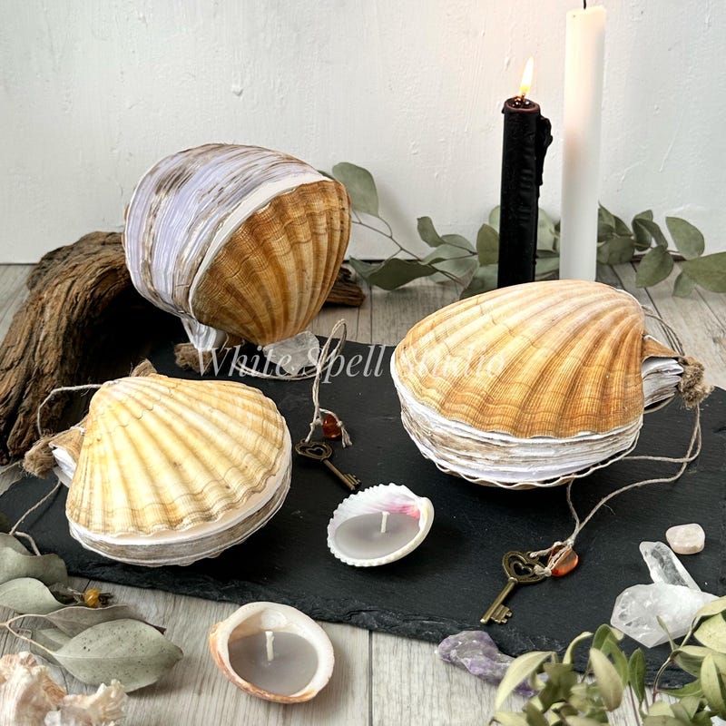 Seashell Journal - Etsy
