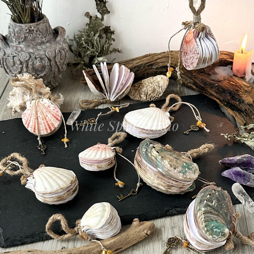 Scallop and Abalon Seashell Notebook, Shell Journal, Drawning Notebook ...