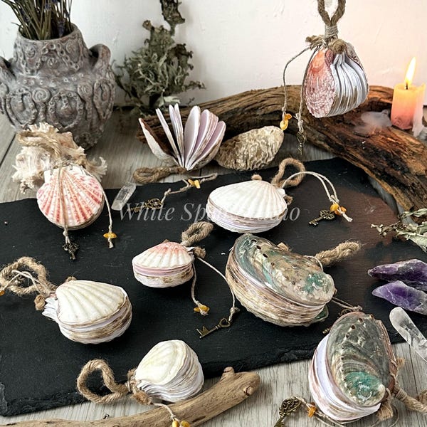 Seashell Journal - Etsy