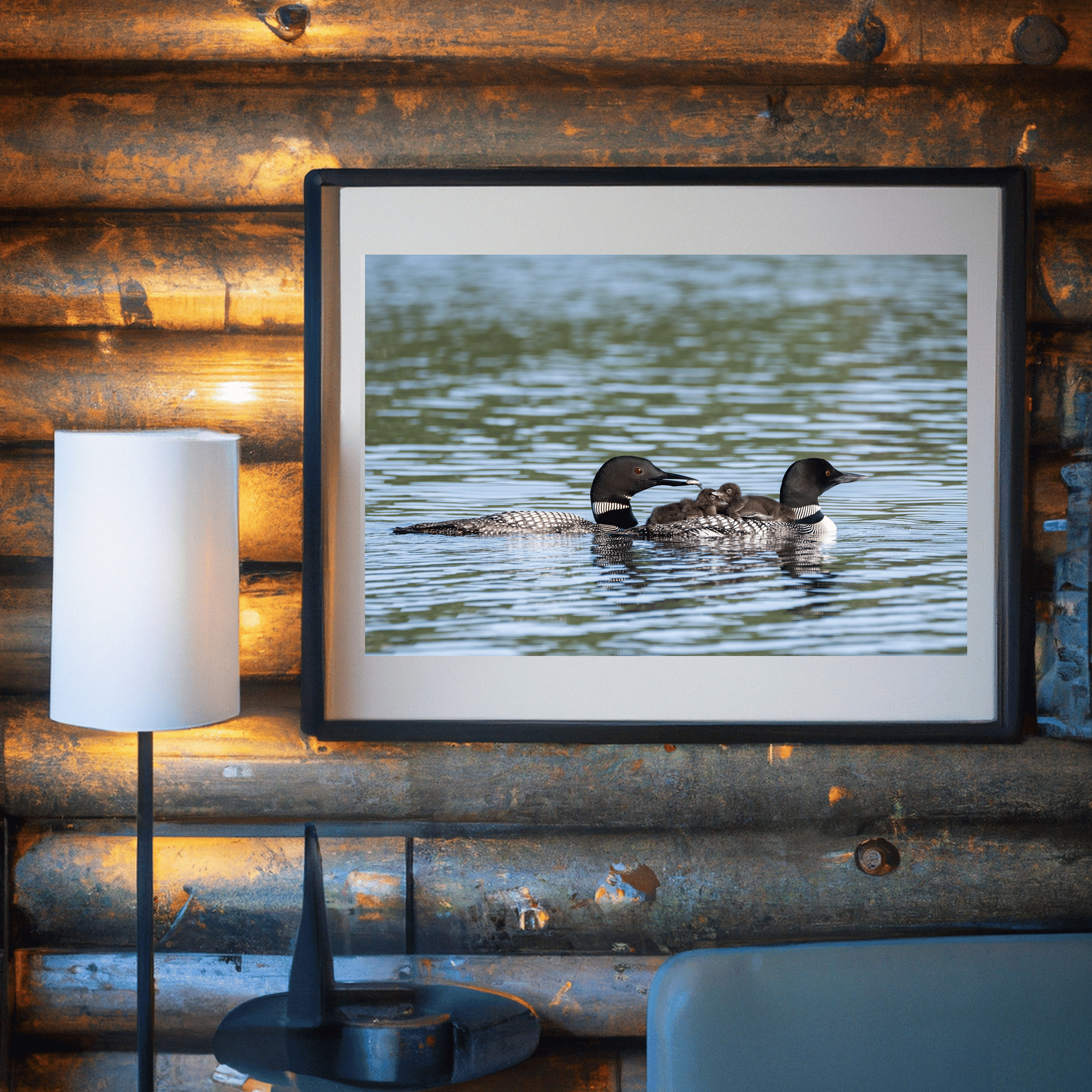 Loon Family, Loon Print, Loon Art for Lake House, Lake House Decor ...
