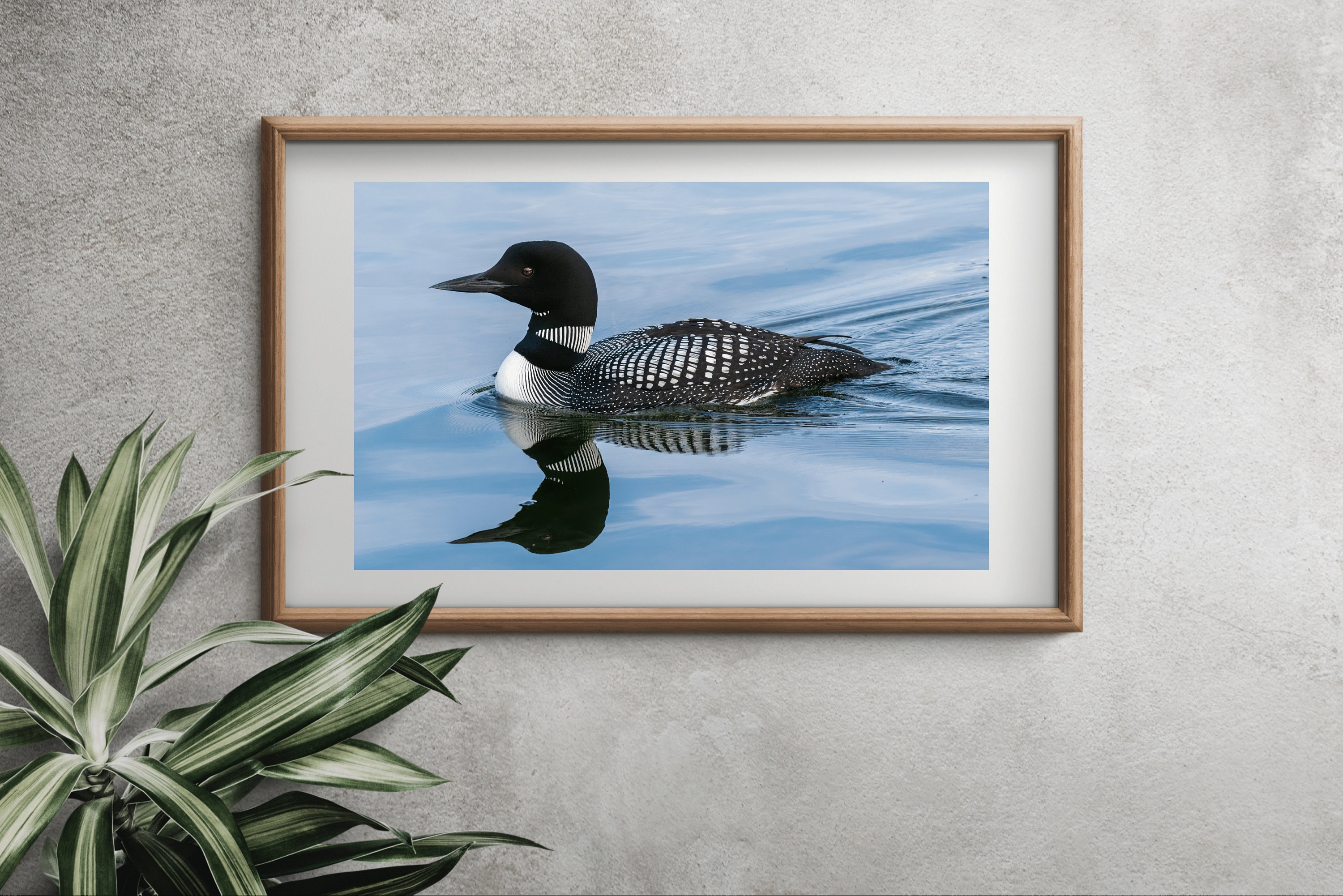 Loon Reflection Loon Print Loon Art for Lake House Lake House Decor ...
