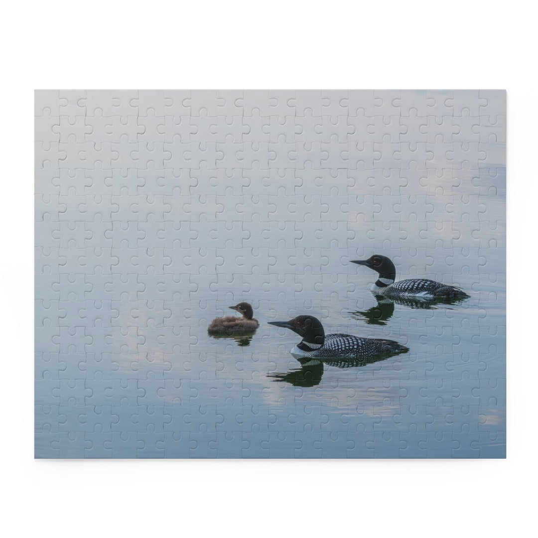 Loon Family Puzzle, Loon Puzzle, Puzzle (120, 252, 500-piece), Gift for ...