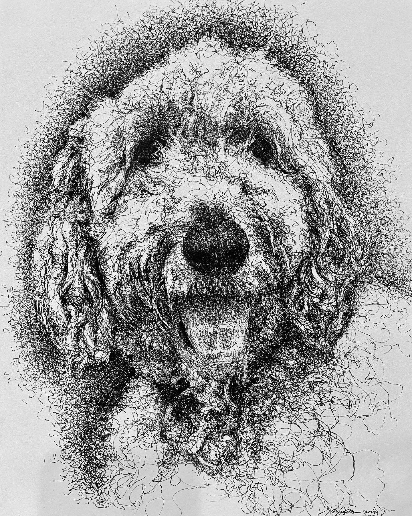 Commissioned Pet Portraits With Pen: Made to Order Drawings - Etsy