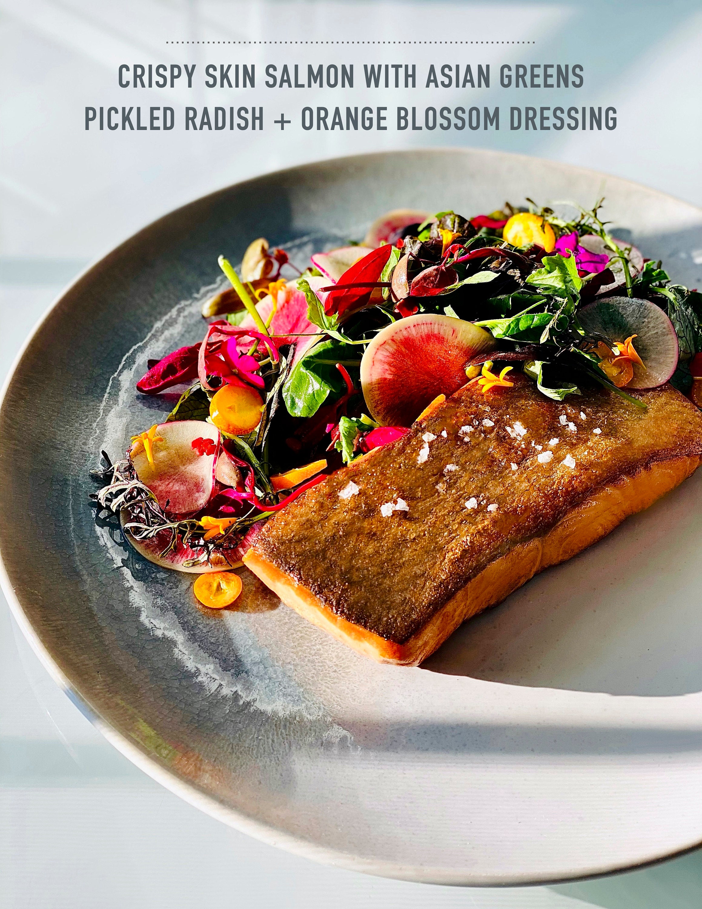 FILM TO FORK - Digital Cookbook - Etsy