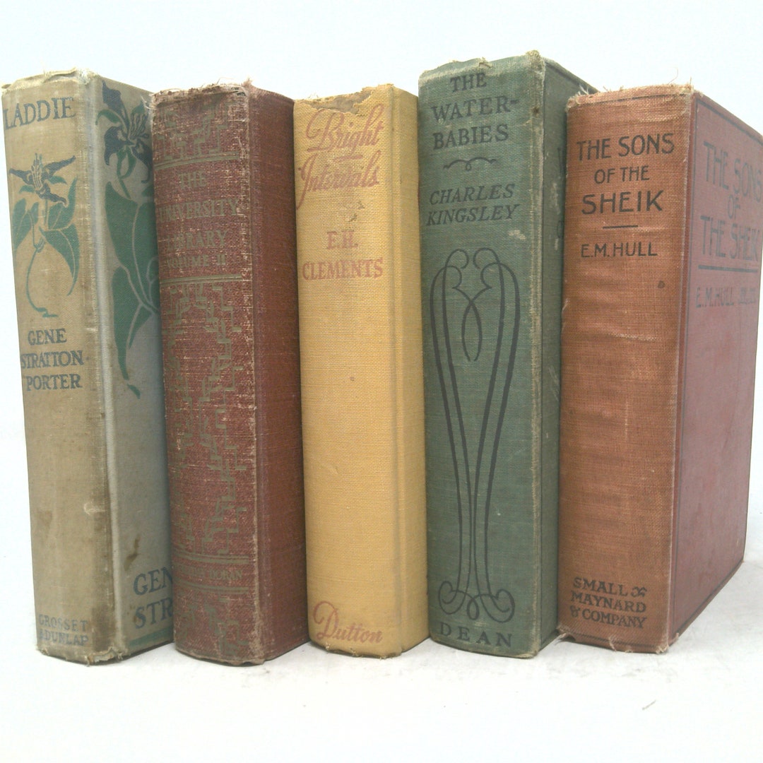 Vintage Book Set With Featured Title bright Intervals/ E.H. Clements ...