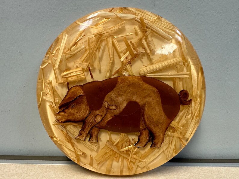 Vintage 1970s Lucite Pig & Straw Pattern Trivet, 1970s Resin Pig Trivet ...