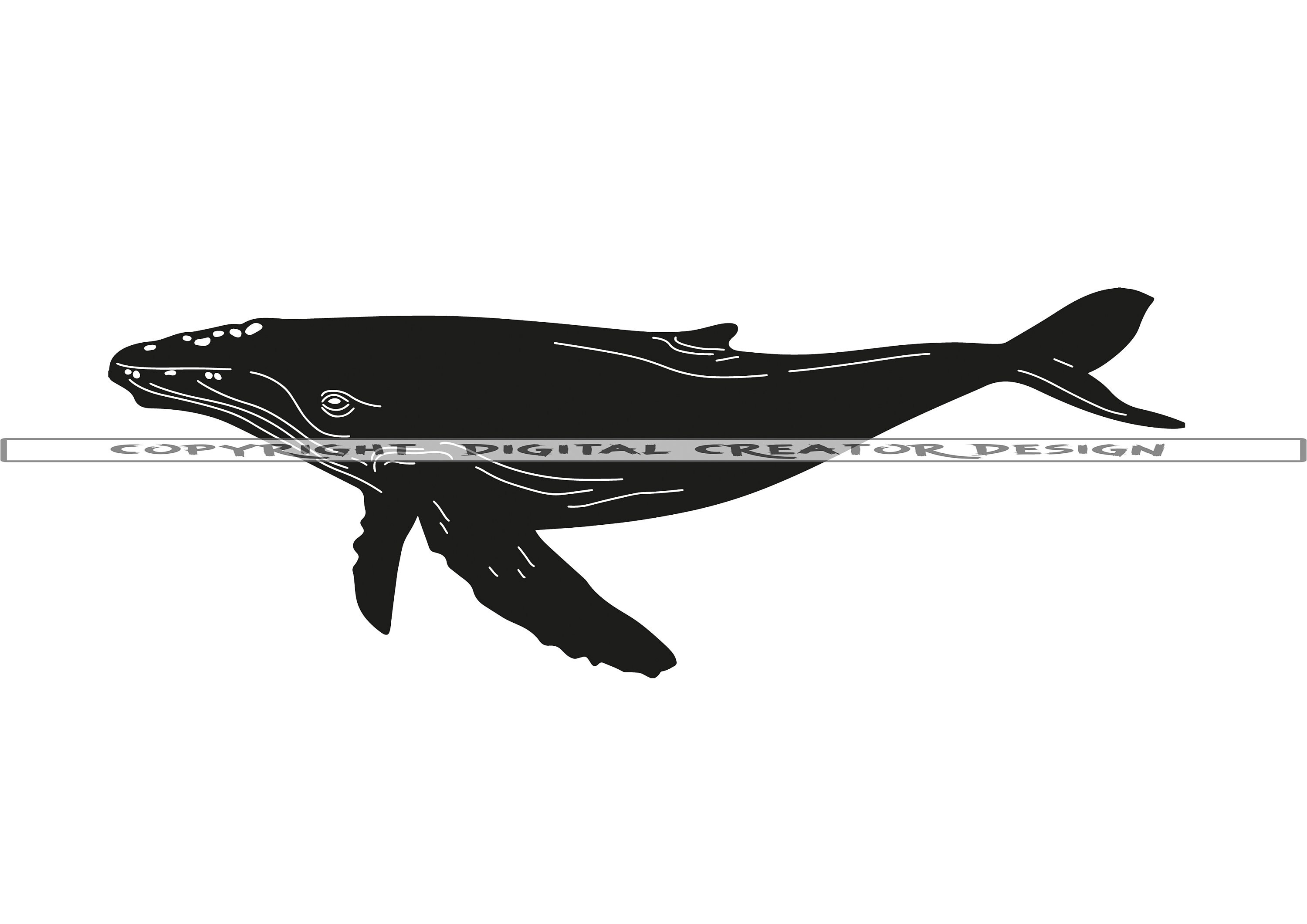 Humpback Whale Svg Whale Svg Humpback Whale Clipart Whale Etsy | Images ...