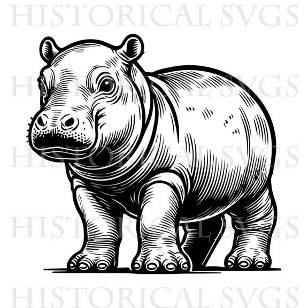 Moo Deng Hippo SVG, JPG, PNG, Dxf, Pdf, Eps Graphic - Ideal for Cricut ...