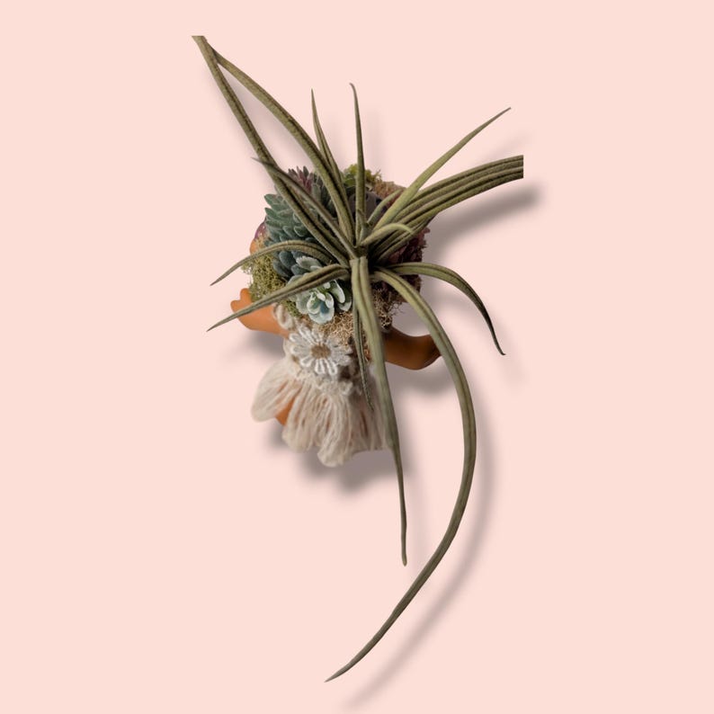 Lucky Succulent/air Plant Troll - Etsy