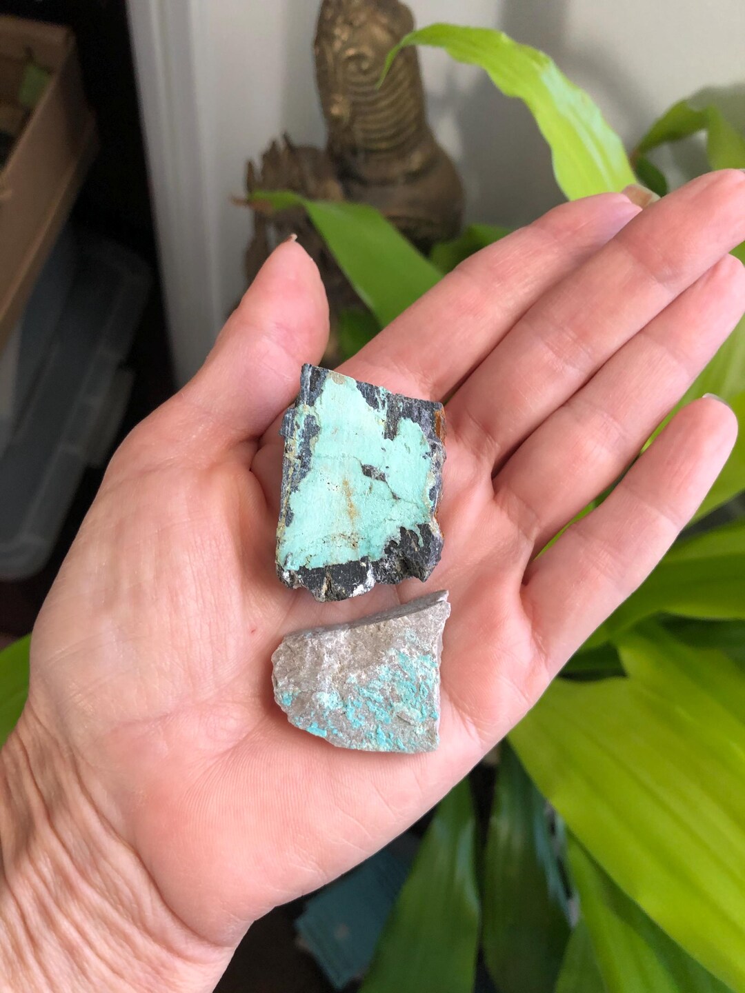 2 Mona Lisa Turquoise Matrix Palm Stones Natural Unprocessed Chakra ...