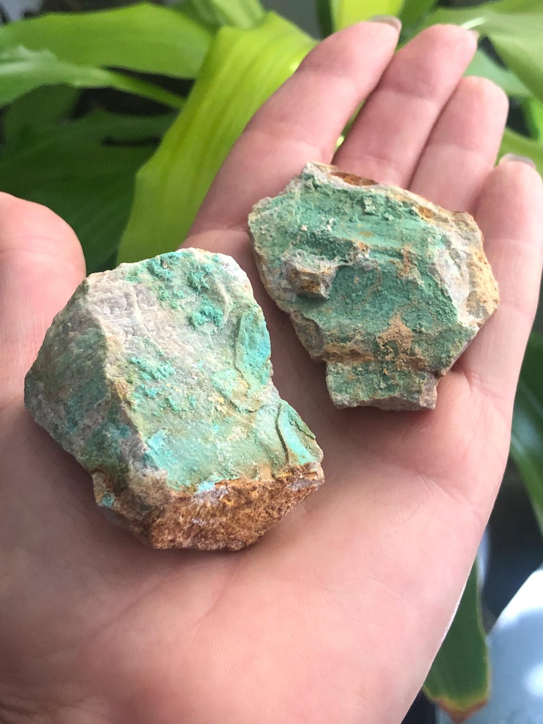 2 Mona Lisa Turquoise Matrix Natural Stones Unprocessed Chakra ...