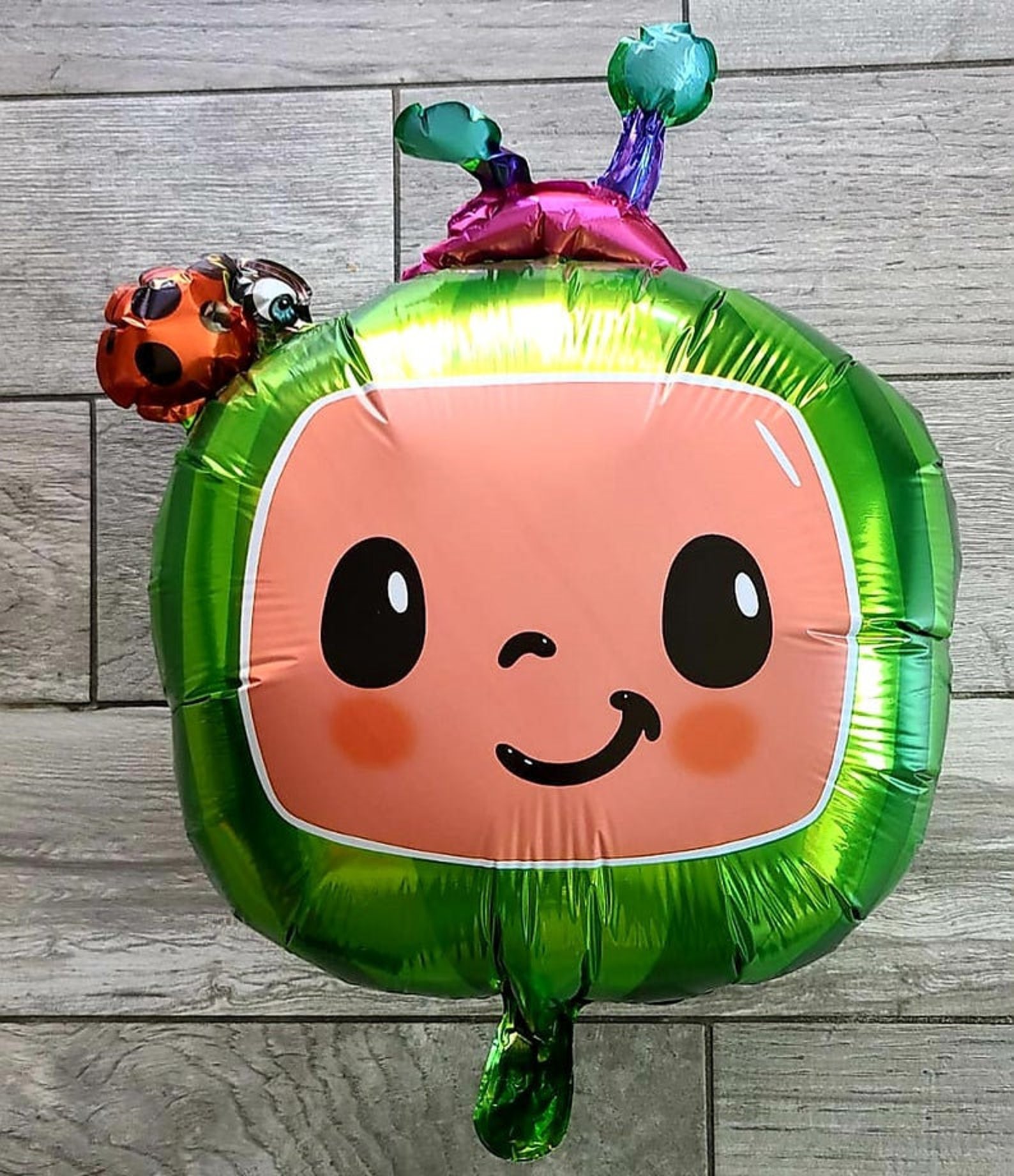 Cocomelon Birthday Theme Favor Party Supplies Decoration Ideas Etsy cocomelon-birthday-theme-favor-party-supplies-decoration-ideas-etsy
