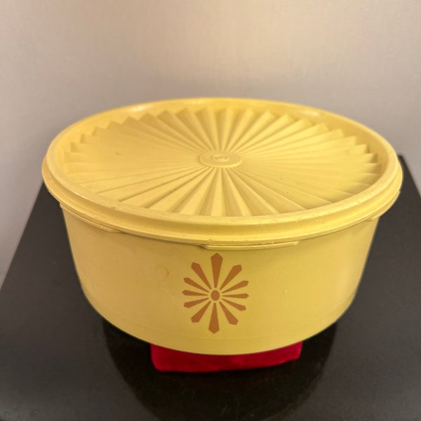 Vintage Tupperware Flour Container - Etsy