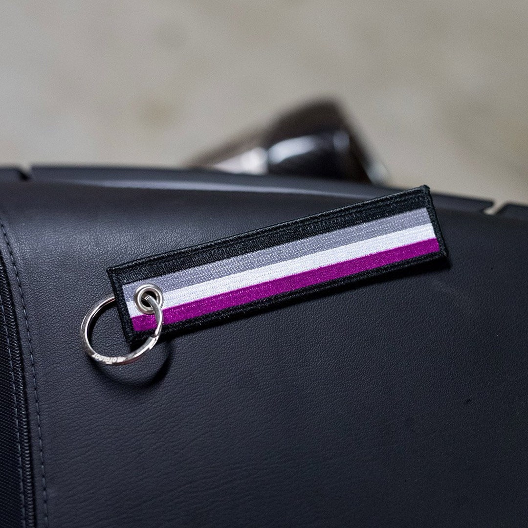 Asexual Pride Flag Keychain, Asexuality Key Fob, Accessory for Keys ...