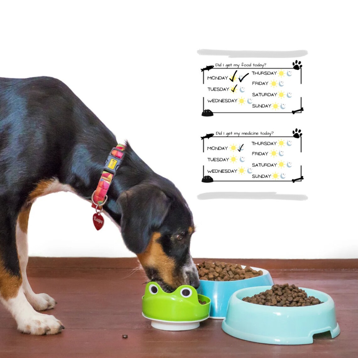 Pet Food or Medicine Mix and Match Daily Reminder Chart, Printable ...