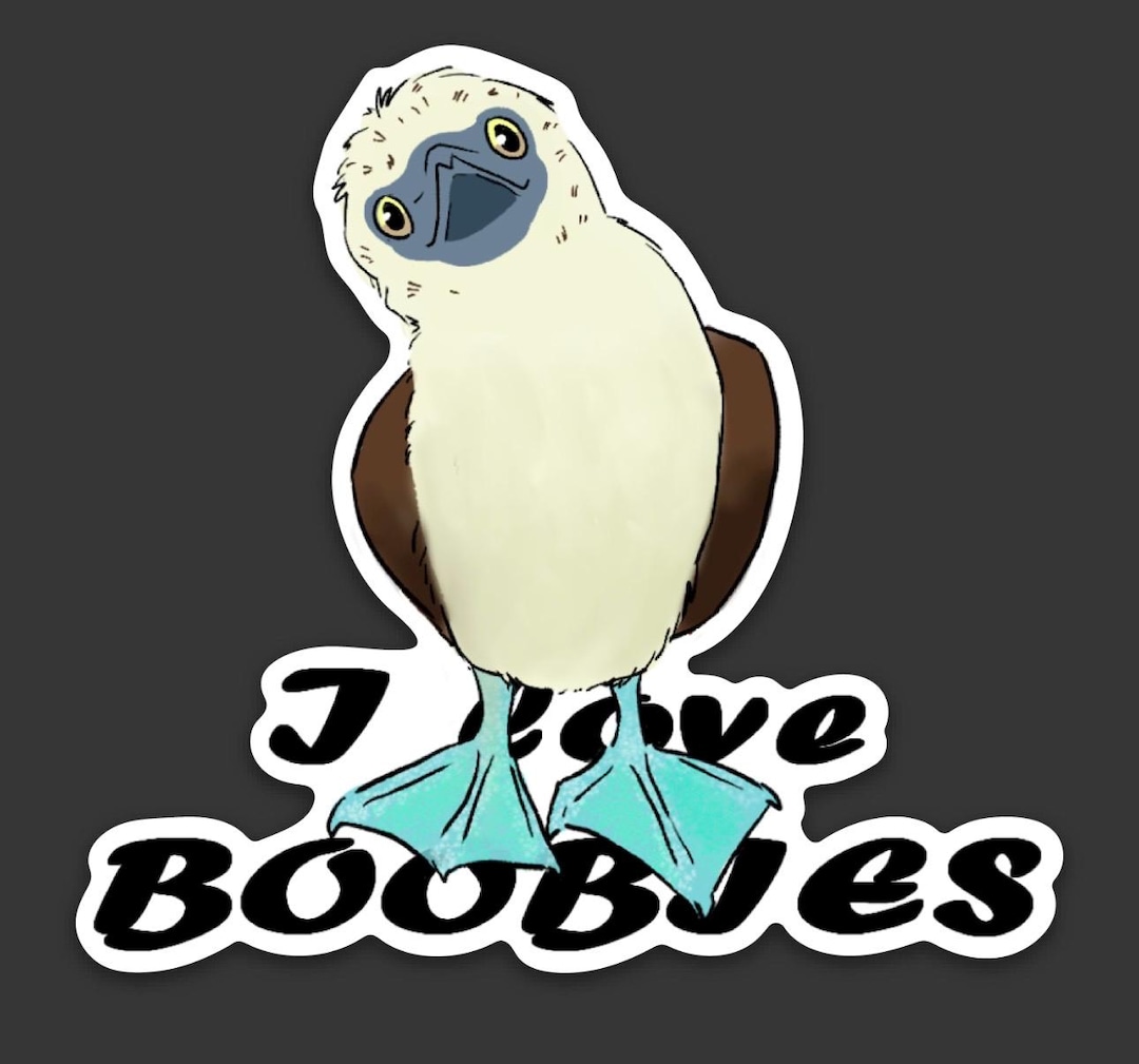 Blue Footed Boobie Funny Sticker - Etsy
